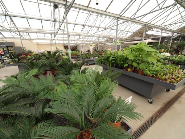 In Orchideeënhoeve komt grootste tuincentrum van Nederland | Fries Nieuws