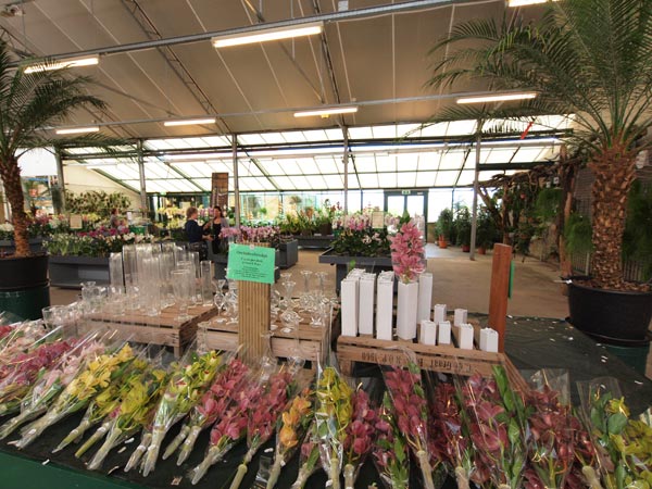 In Orchideeënhoeve komt grootste tuincentrum van Nederland | Fries Nieuws