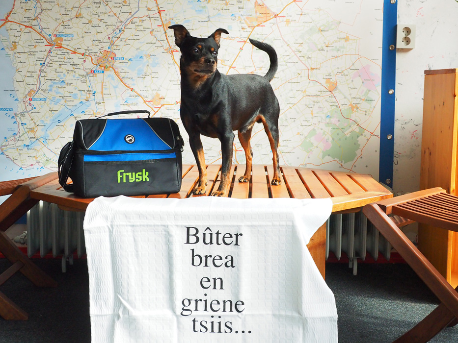 Friese taalorganisatie geeft boek uit om honden Fries te leren ...